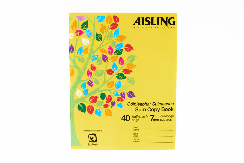 40 Page Sum Copy 7 MM Aisling